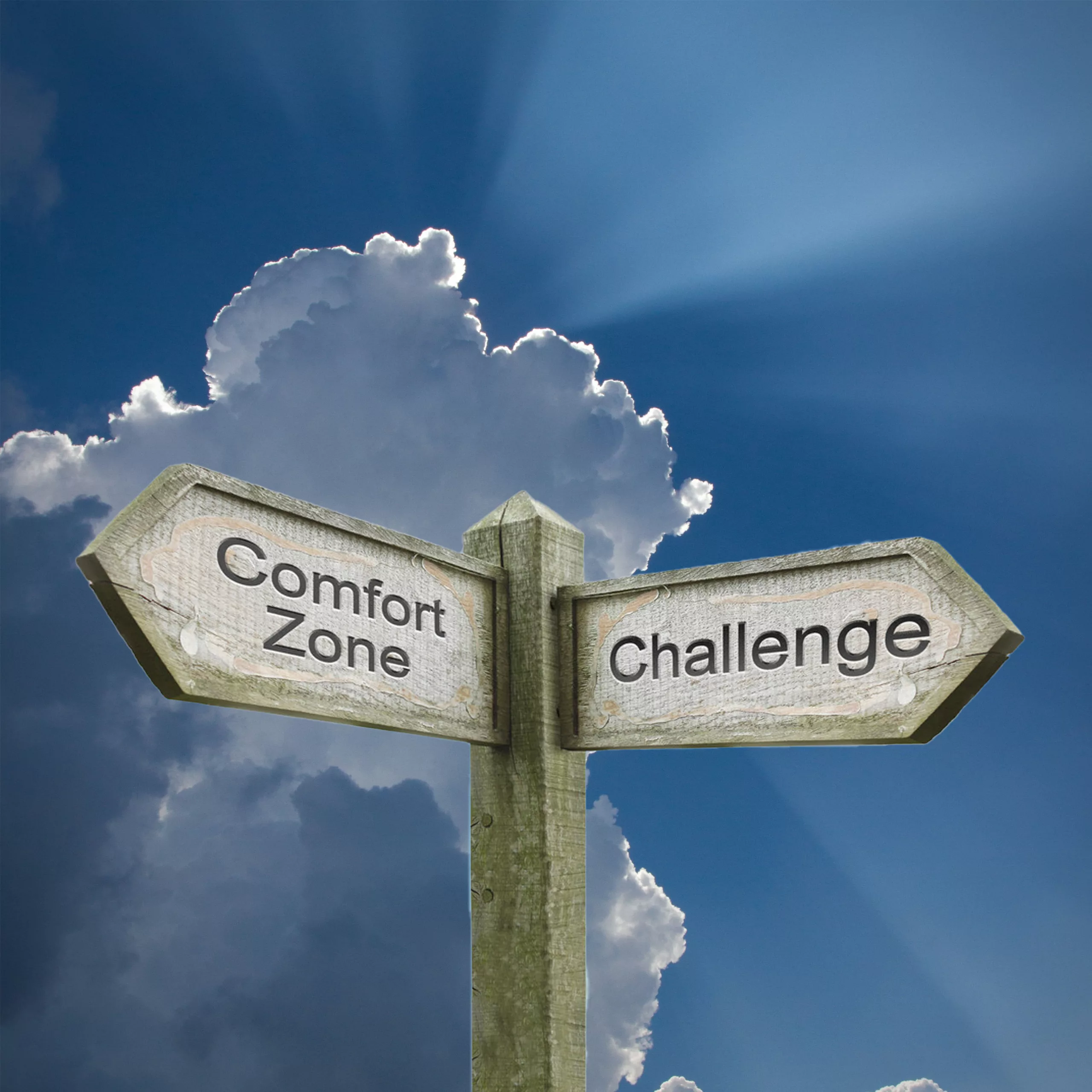 New Year's Challenge | The Royal Texan